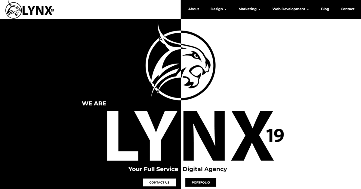 WordPress Development - lynx 19 Ltd